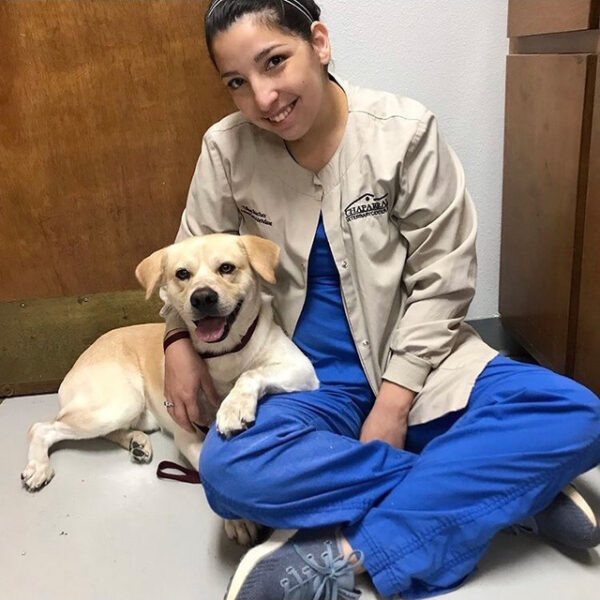 Stress-Free Veterinary Care - Chaparral Veterinary Center